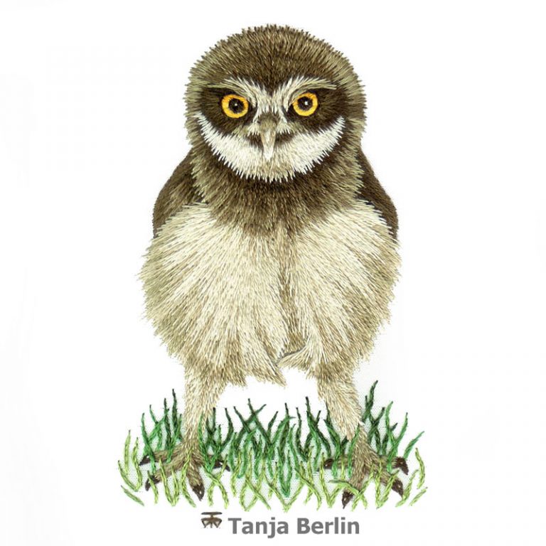 Needle Painting Burrowing Owl Kit – Berlin Embroidery Designs