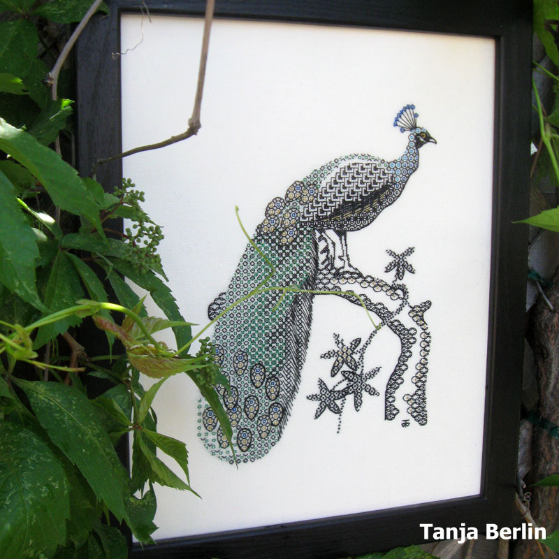 Blackwork Peacock – Berlin Embroidery Designs